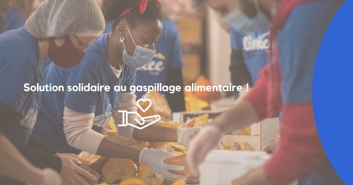 Linkee : Distributions alimentaires pour les étudiants | IUT Bordeaux ...
