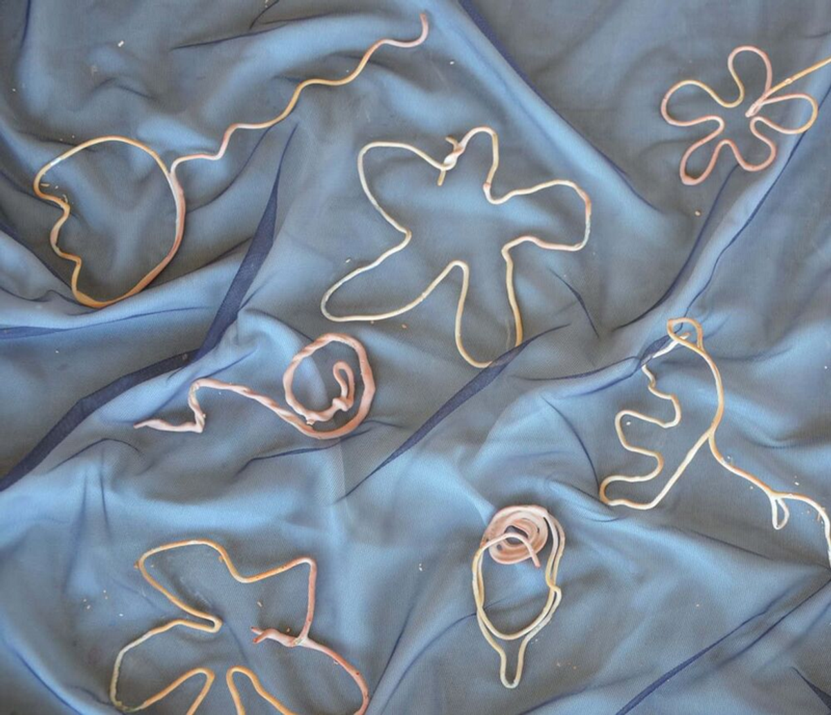 Atelier Jeux de texture avec Lucie Férézou | La Criée centre d'art ...