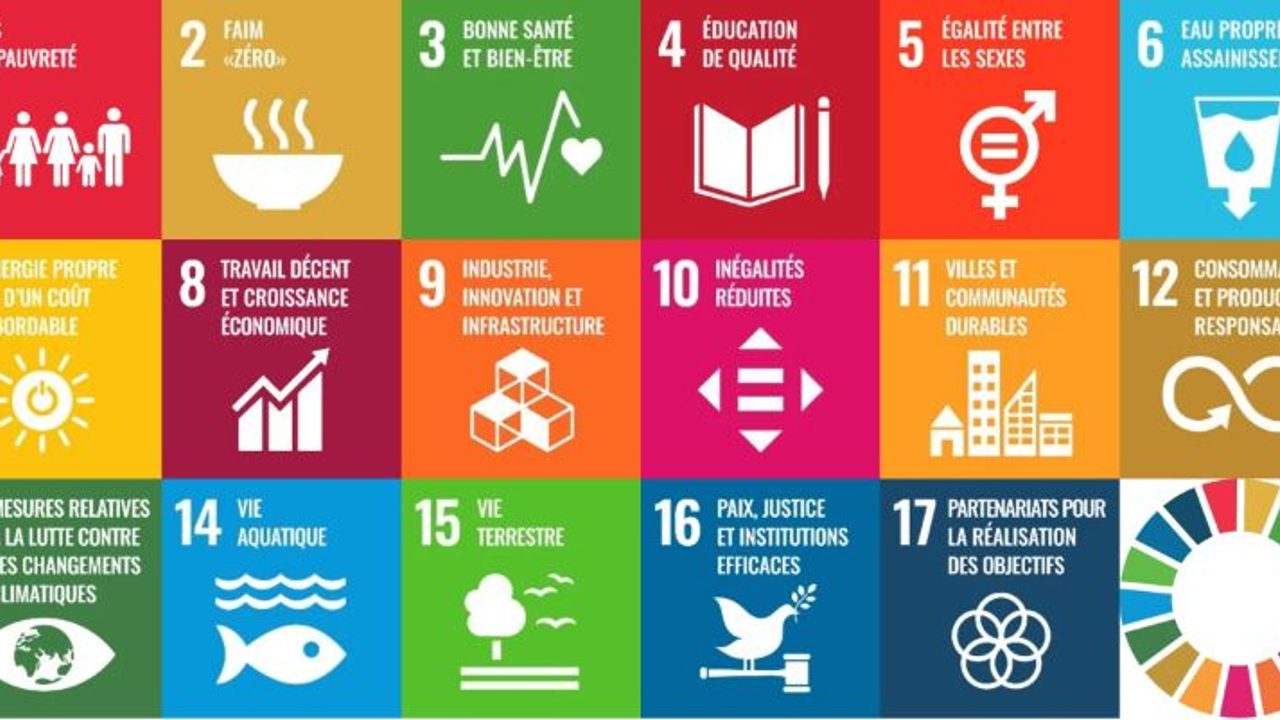 Objectifs de Développement Durable (ODD) | Ressources