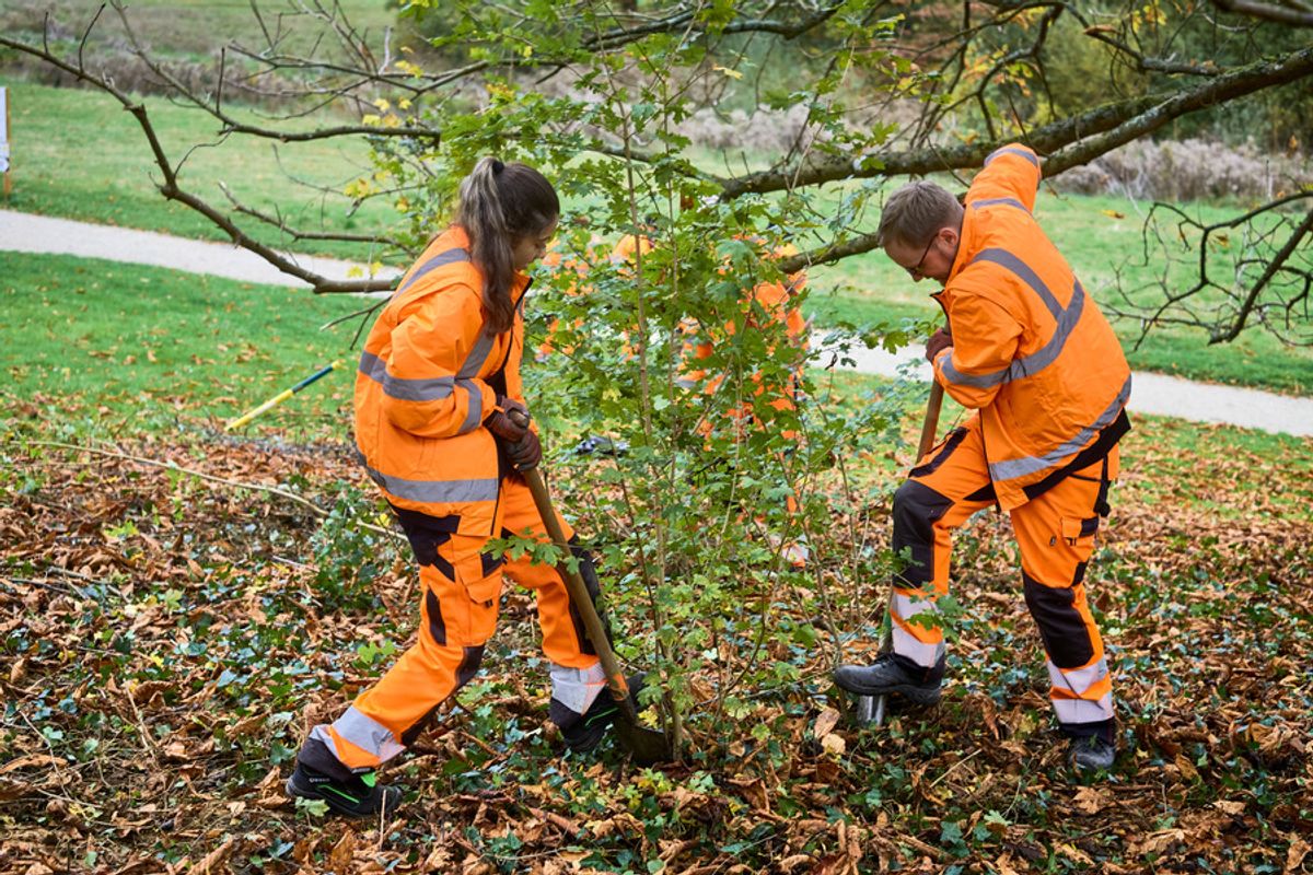 Les chantiers citoyens séduisent les jeunes | ICI RENNES MÉTROPOLE ...