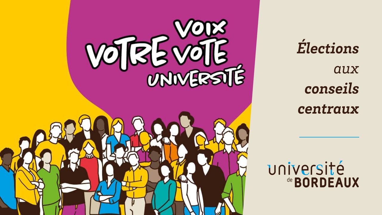 Université | IUT de Bordeaux