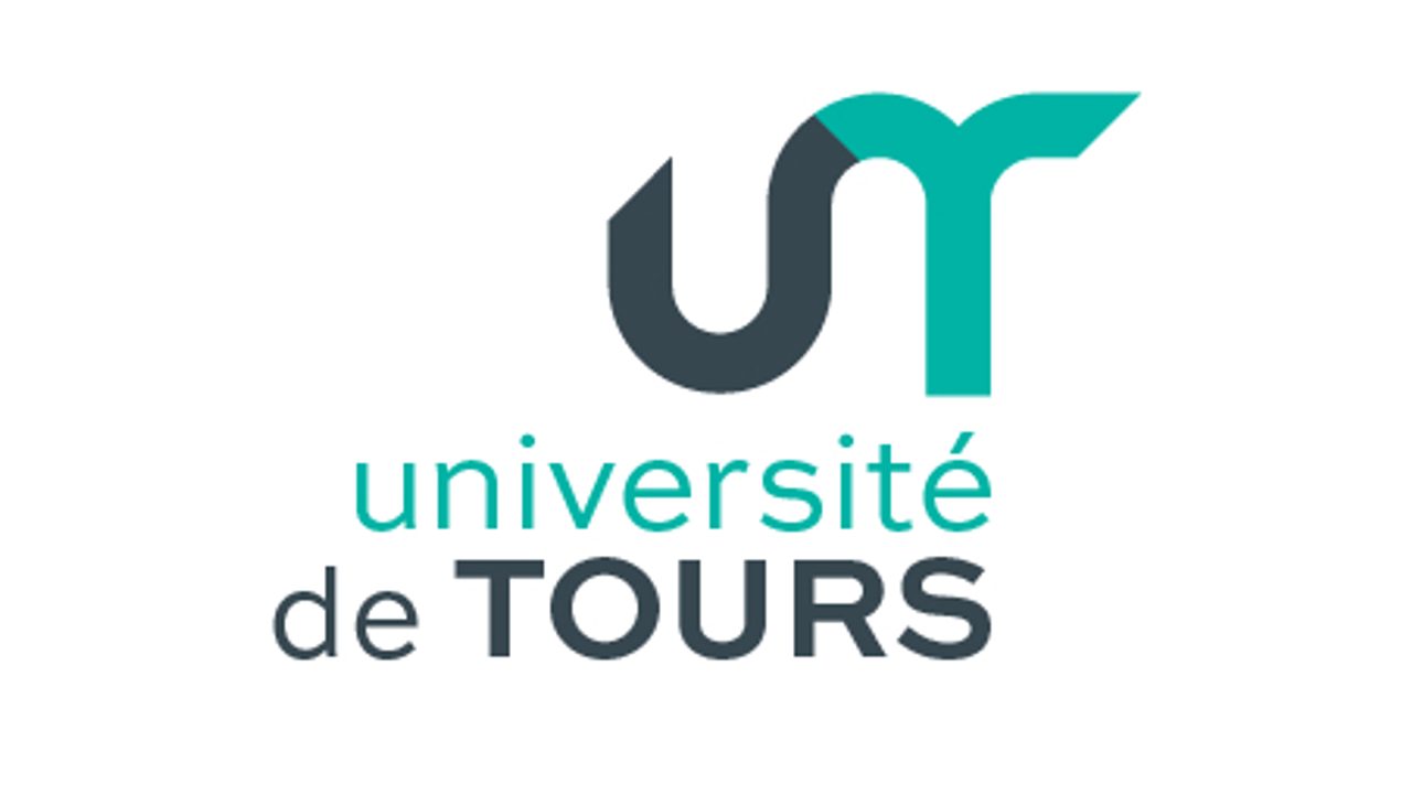 IUT de Tours | Reboot
