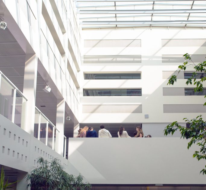 IUT Bordeaux Montaigne | IUT Bordeaux Montaigne