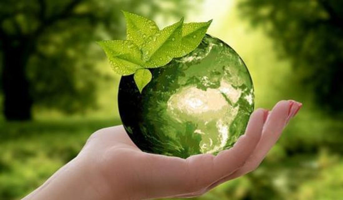 Le CGDD lance une enquête sur la prise en compte de l'impact ...