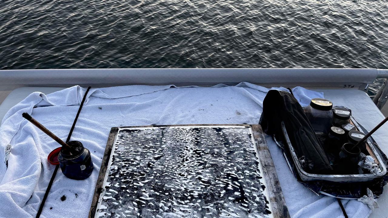 Grand Prix de l'art de la mer 2025 | Fondation Jacques Rougerie