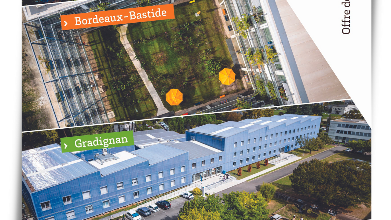 Notre institut | IUT de Bordeaux