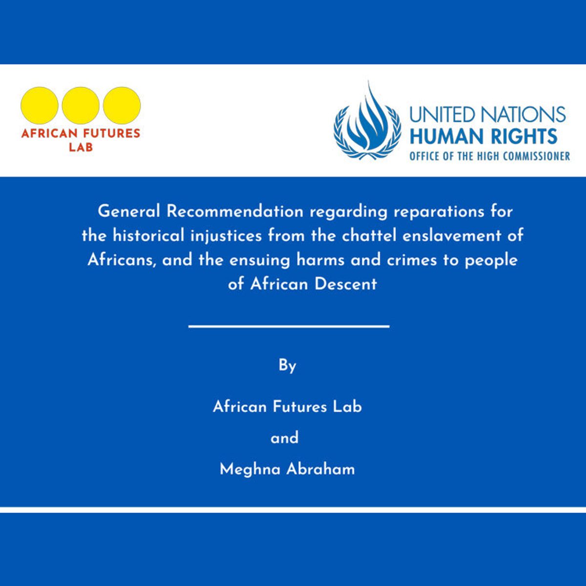 Joint submission to the UN Committee on the Elimination of Racial ...